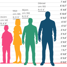 Height Chart - Notes