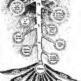 Chesed - Abilities - Kanka