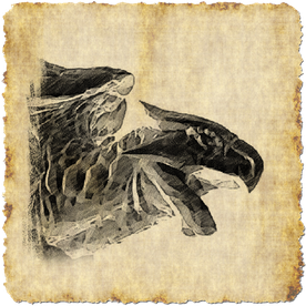 Ankylodon - Creatures - Kanka