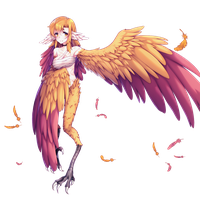 New World Harpy - Races - Kanka