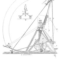 Onagres des falaises - Objects - Kanka