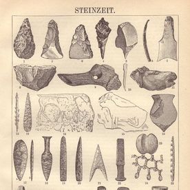 Acute Senses (•) - Abilities - Kanka