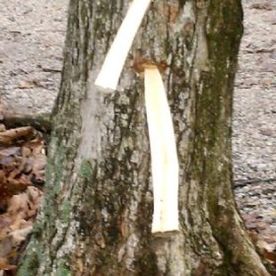 Masaran Anun - Objects - Kanka