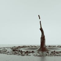 Nigrotila - Objects - Kanka