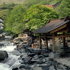 Kawacho Assets - Kanka