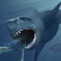 Mr Fin - Characters - Kanka