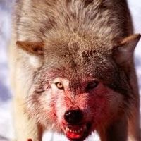 Scowl - Characters - Kanka