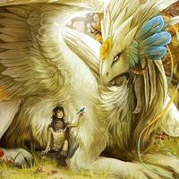 Dragons - Races - Kanka