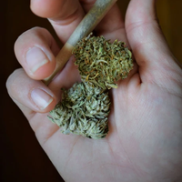 Dreamleaf - Objects - Kanka