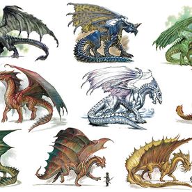 Dragons - Creatures - Kanka