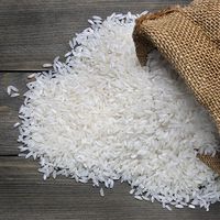 Rice (Grain) - Objects - Kanka