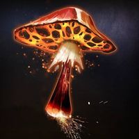 Titanenblut-Pilz - Objects - Kanka