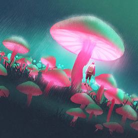 Madon Fungus, The - Objects - Kanka