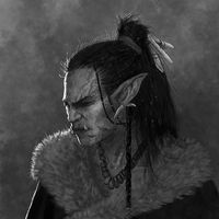 Orc & Half-Orc - Races - Kanka