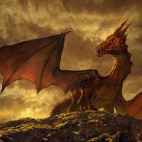 Dragons - Races - Kanka