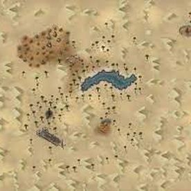 I. Oasis of the White Palm - Journals