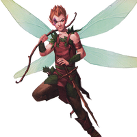 Fairy - Races - Kanka