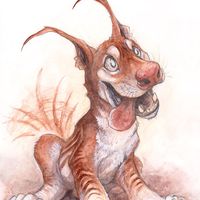 Puff - Characters - Kanka