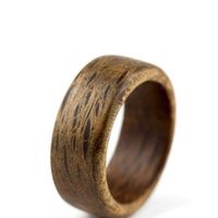 Axxeleratus Ring Wolfhardt - Objects - Kanka