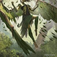 Plant Infused - Races - Kanka