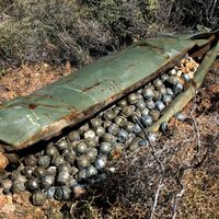 Cluster Shell - Objects - Kanka