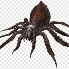 Аракны - Creatures - Kanka