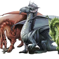 Dragon - Races - Kanka