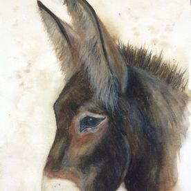 Donkey Ho Tay - Characters - Kanka