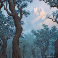 Neverwinter Wood - Locations - Kanka