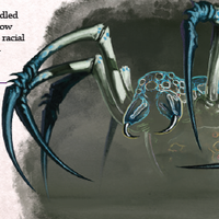 Ghostwalk Spider - Creatures - Kanka