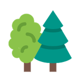 Millennium Forest - Locations