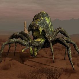 Aranha Aberta - Creatures - Kanka