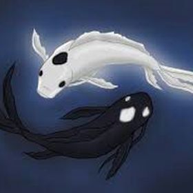 Campaña A Circle of Light and Shadow - Kanka