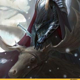 Snow Elf - Races - Kanka