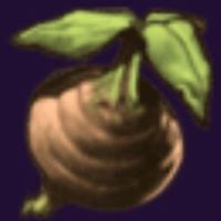 Bulbe sauteur - Objects - Kanka