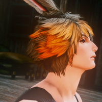 Luc aan Pulvis - Characters - Kanka